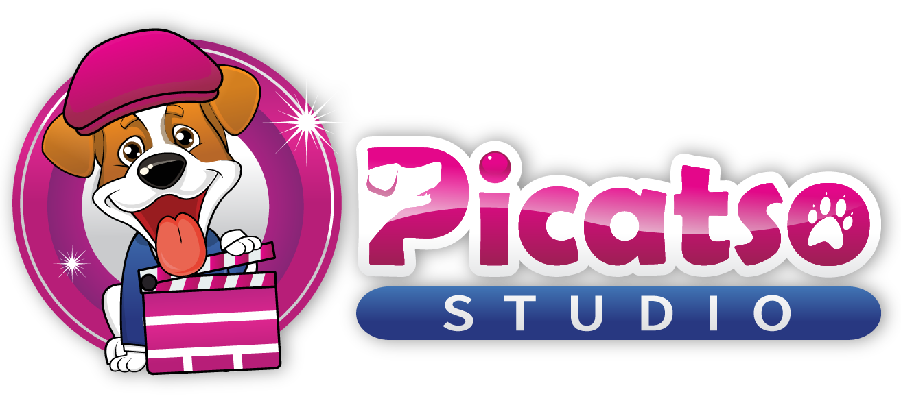 Animated Video Agency - Picatso Studio